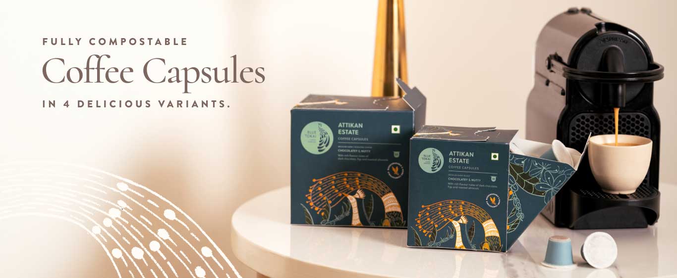 Buy Coffee Capsules & Coffee Pods Online – Blue Tokai Coffee Roasters